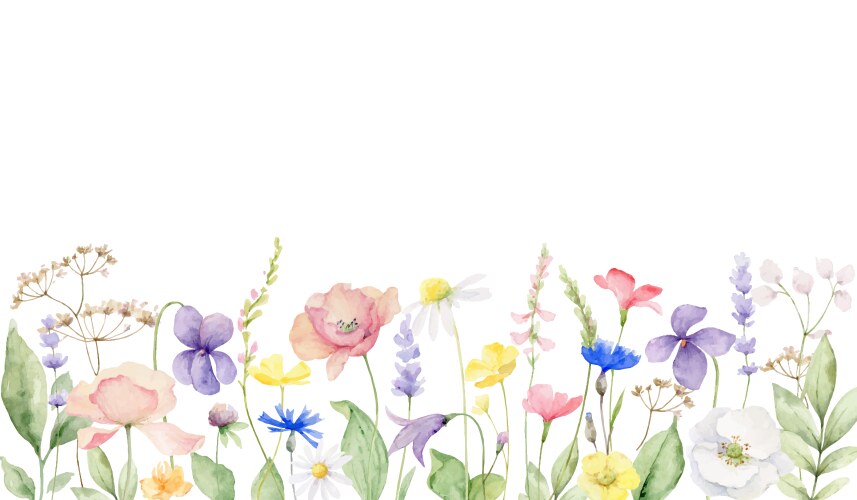 Wild Flowers Vector Illustration Download Free Vectors Element Wild