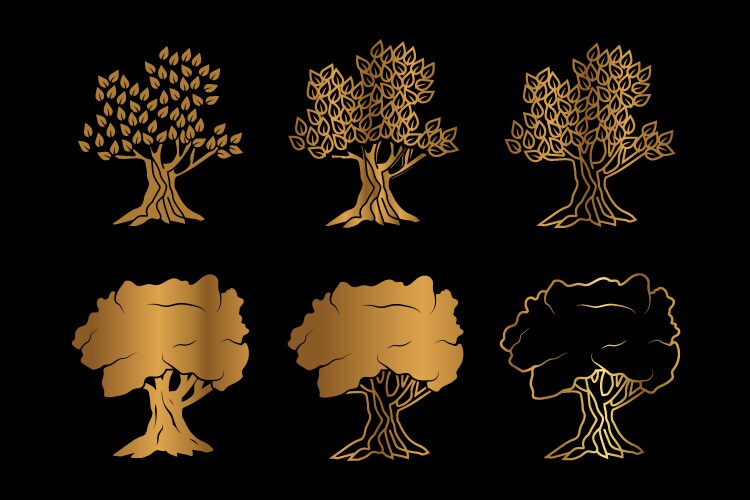 Old olive tree logo Royalty Free Vector Image - VectorStock