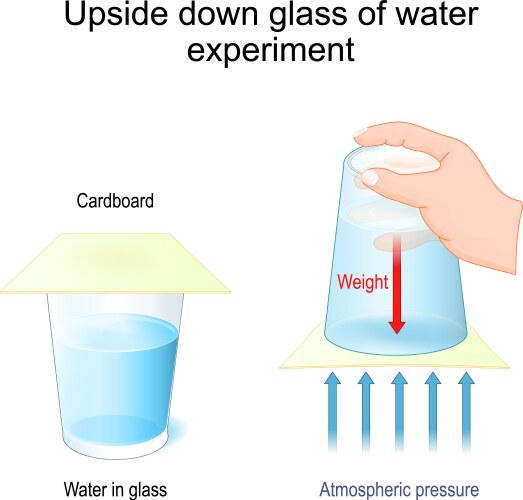 Experiment with salt and water making a saline Vector Image