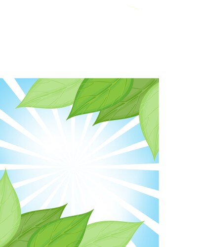 A green frame Royalty Free Vector Image - VectorStock