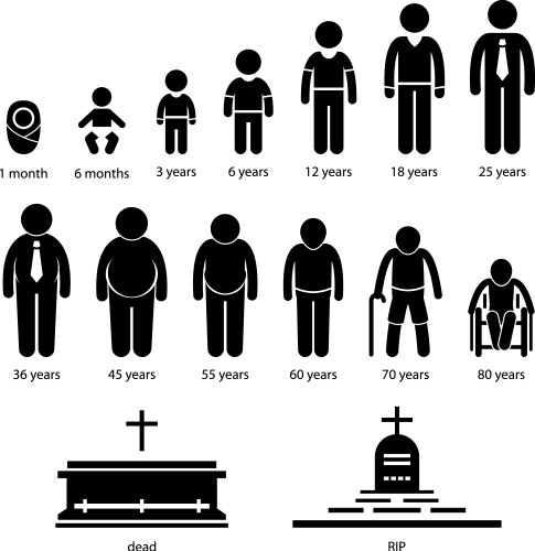 Aging Royalty Free Vector Image - VectorStock