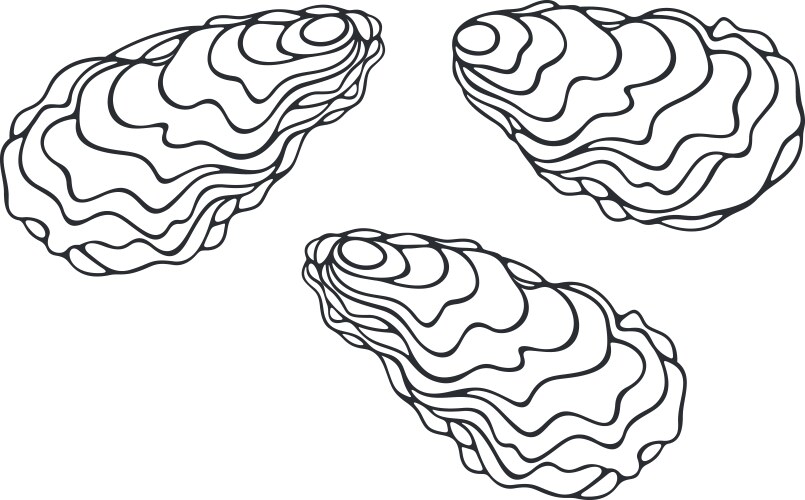 Oyster Royalty Free Vector Image - VectorStock