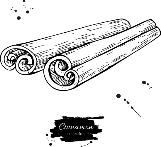 Cinnamon stick tied bunch and powder set Vector Image
