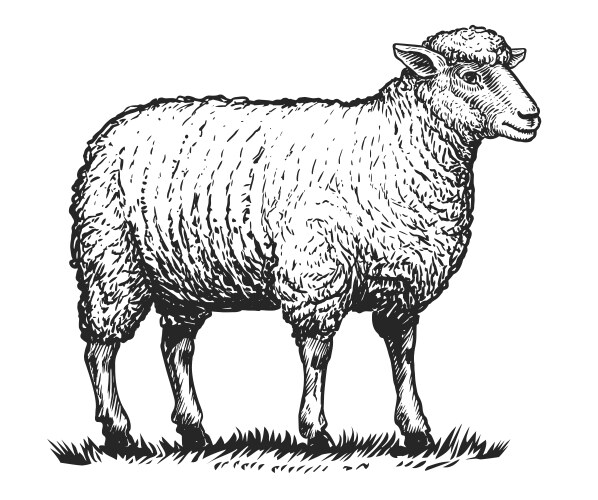 Farm Animals Clipart Black White Vector Images (over 4,600)