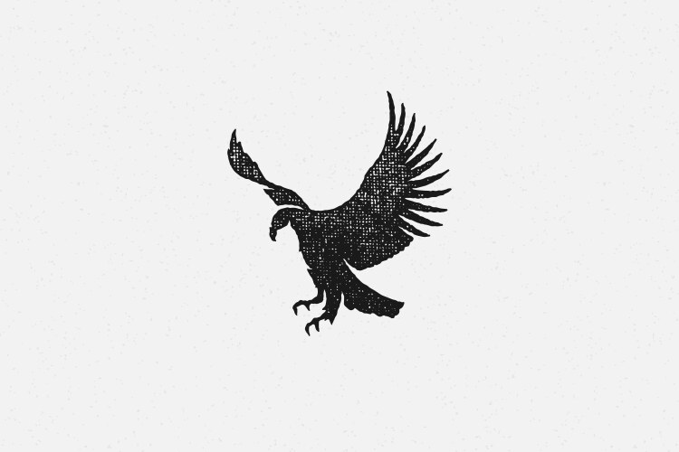 Graceful soaring eagle Royalty Free Vector Image