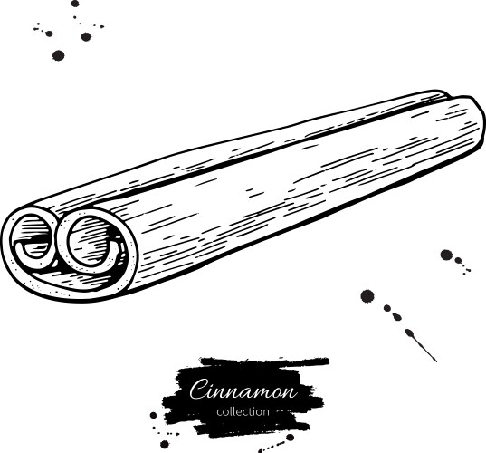 Cinnamon stick tied bunch and powder set Vector Image