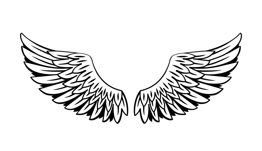 Wing black outline Royalty Free Vector Image - VectorStock