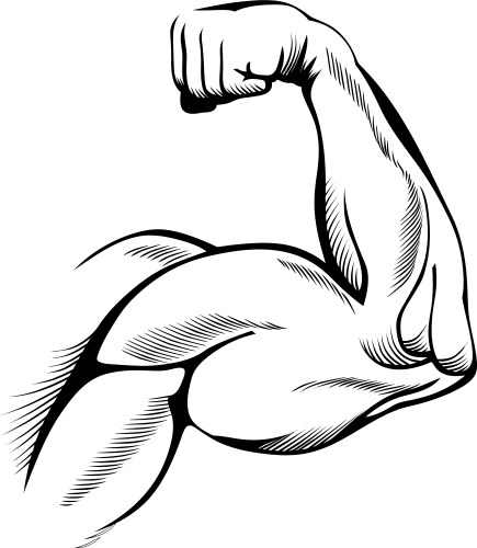 Muscles Vector Images (over 140,000)