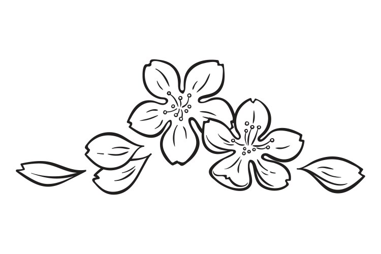Set outline sakura flowers Royalty Free Vector Image