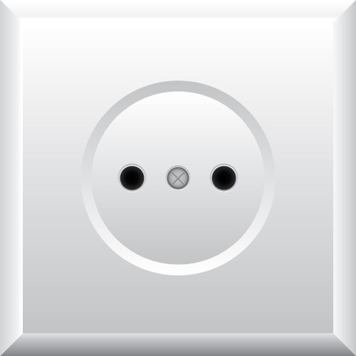 Chamomile Royalty Free Vector Image - VectorStock