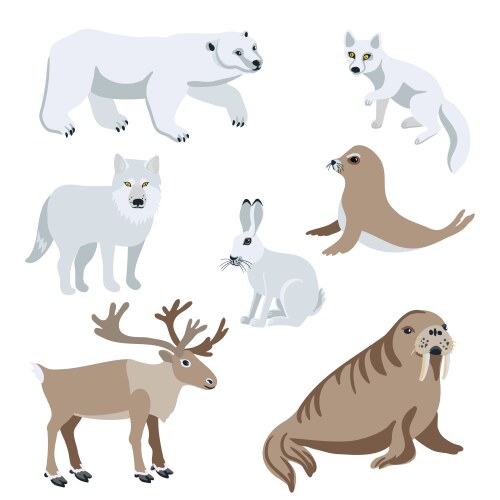 Arctic Vector Images (over 37,000)