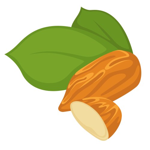 Pili nut icon cartoon style Royalty Free Vector Image