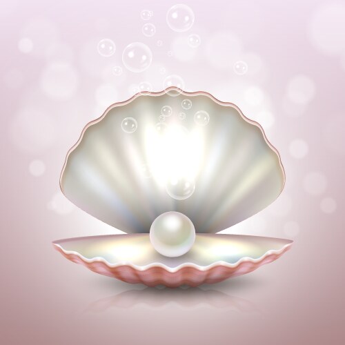 Oyster Pearl Vector Images (over 4,000)