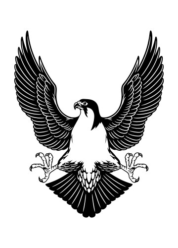 Indonesian garuda symbol spread wings and holding Vector Image