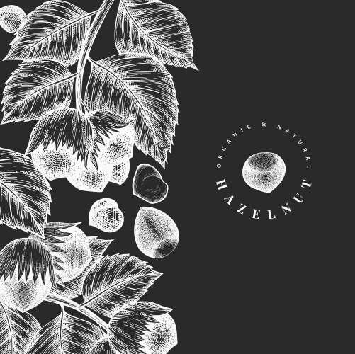 Hand drawn sketch hazelnut design template Vector Image