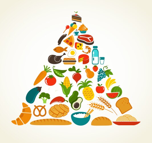 Food pyramid Royalty Free Vector Image - VectorStock