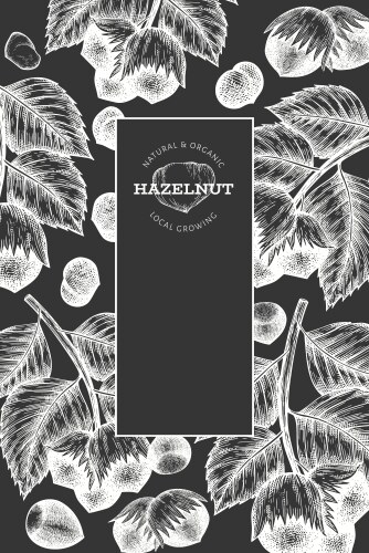 Hand drawn sketch hazelnut design template Vector Image