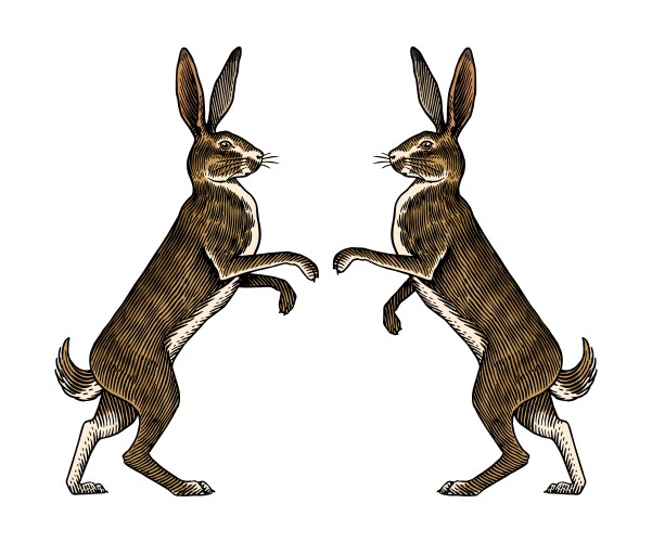 Hare Outline Vector Images (over 9,500)