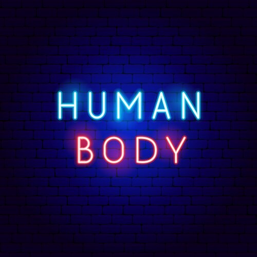 Anatomy body neon text Royalty Free Vector Image