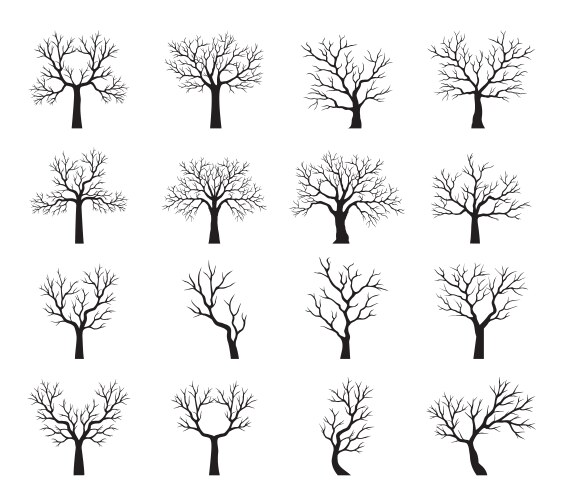 Tree Branches Without Leaves Pattern Vector Images (over 130)
