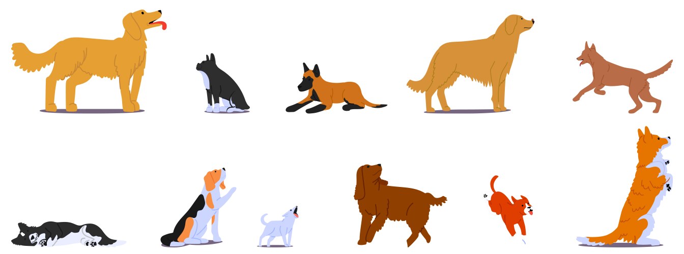 Various Dog Breeds Each In Different Pose Vector Image