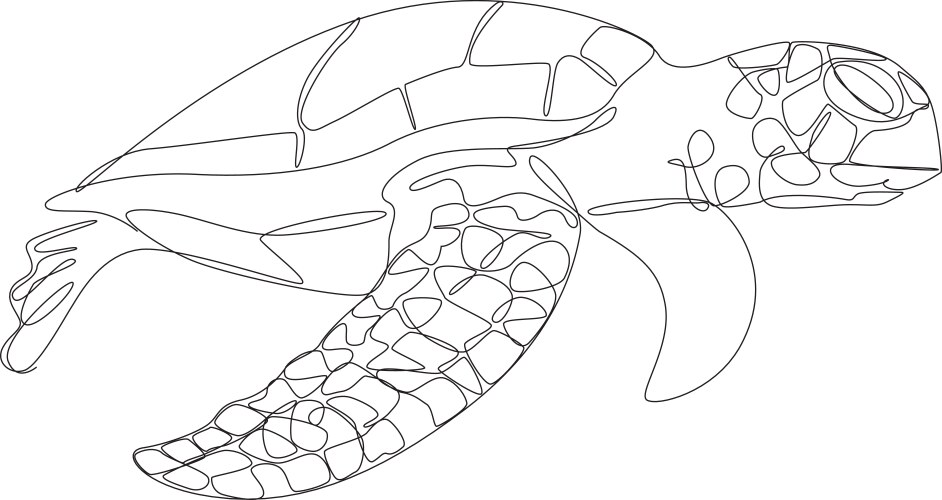 Hawksbill sea turtle collection Royalty Free Vector Image