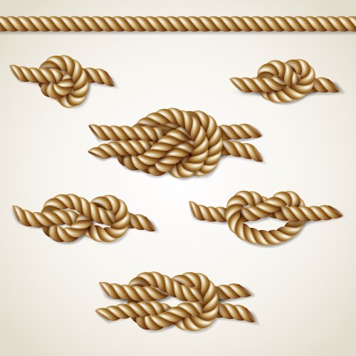 Rope elements marine cord borders nautical ropes Vector Image