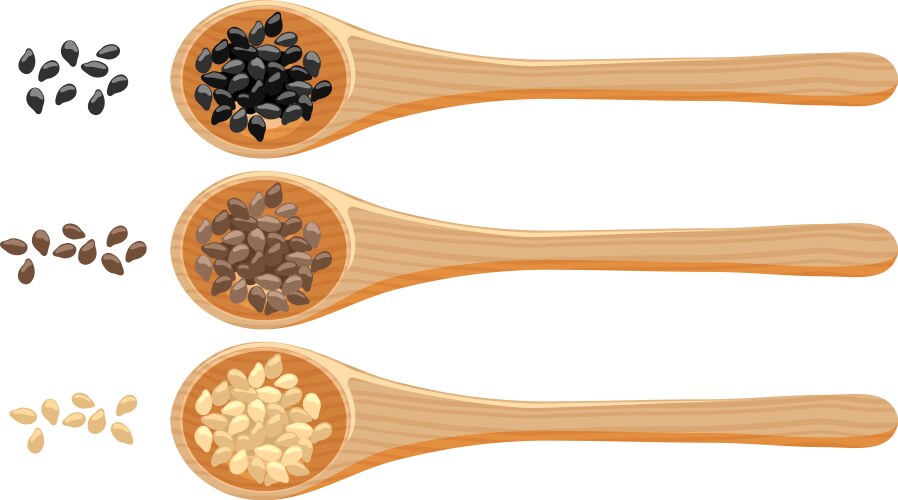 Sesame Vector Images (over 16,000)