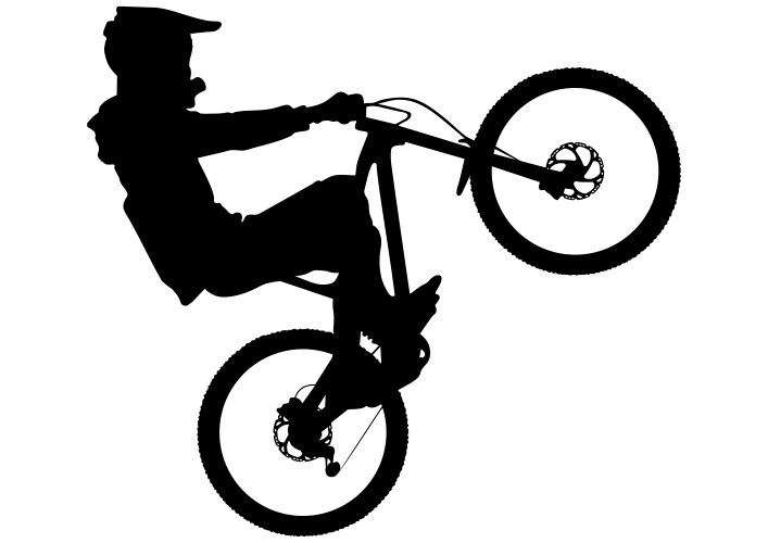 Bike Wheelie Logo First Look: Ducati Desmo450 MX – All New MX Bike