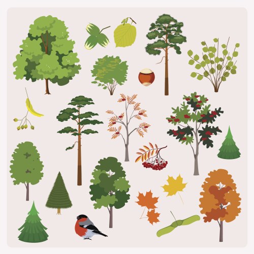 Forest Vector Images (over 670,000)