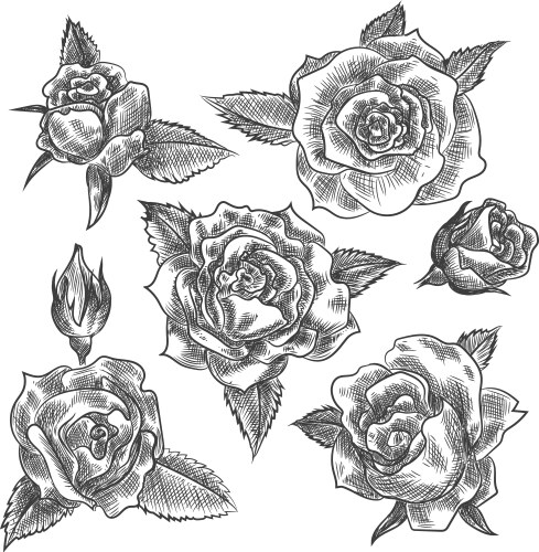 Flowers Engraving Vector Images (over 41,000)