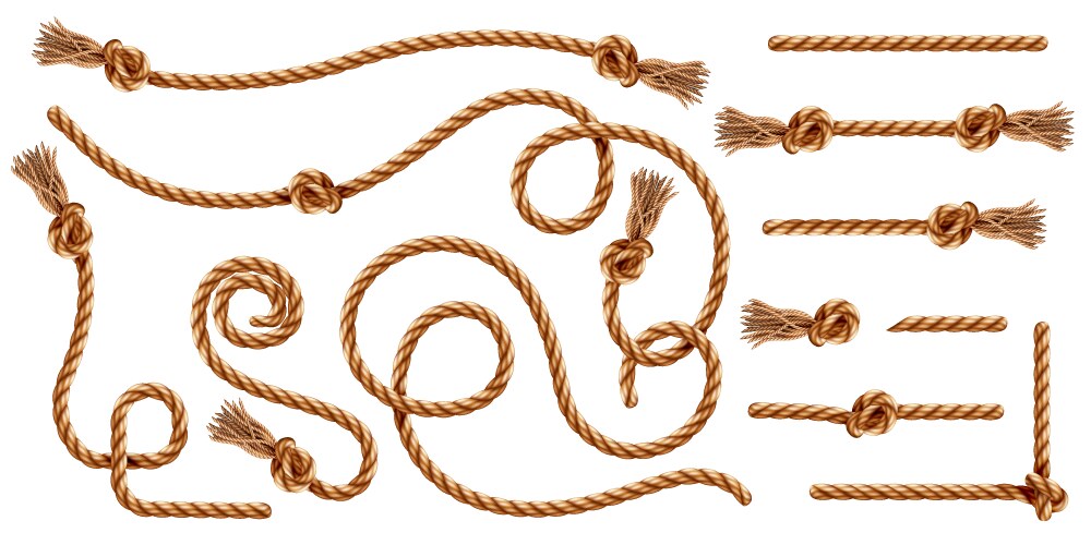 Ropes and knots Royalty Free Vector Image - VectorStock