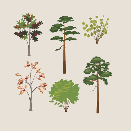 Forest Trees Vector Images (over 370,000)