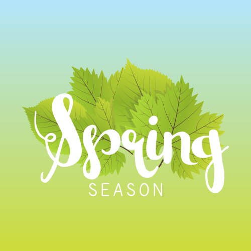 Hello spring background Royalty Free Vector Image