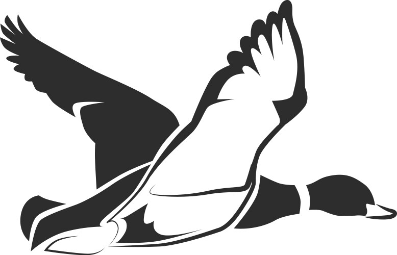 Flying Duck Vector Images (over 7,200)