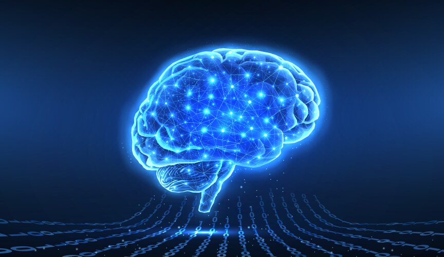 Brain Vector Images (over 240,000)