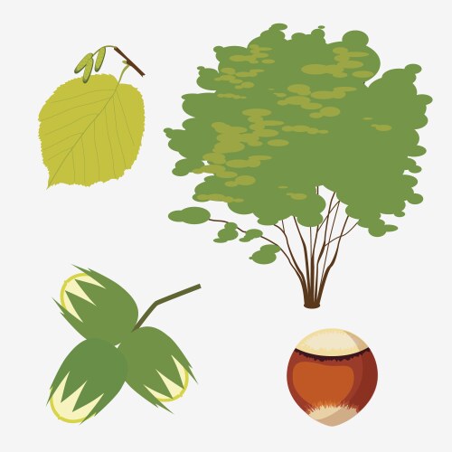 Background with trees spruces and bushes Vector Image