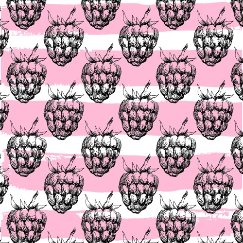 Raspberry seamless pattern drawing Royalty Free Vector Image