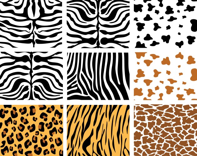 Animal skin hand drawn texture seamless pattern Vector Image