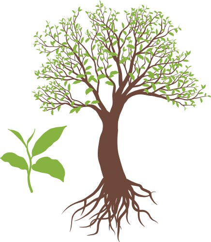 Tree silhouette Royalty Free Vector Image - VectorStock