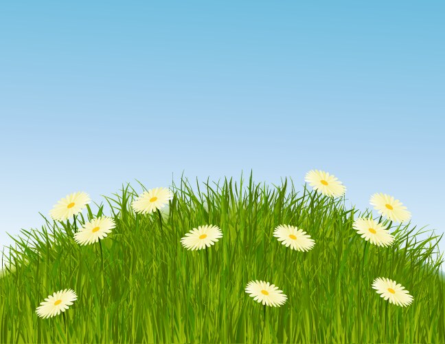 Grass Vector Images (over 360,000)