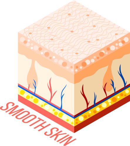 Beautiful Skin Vector Images (over 150,000)