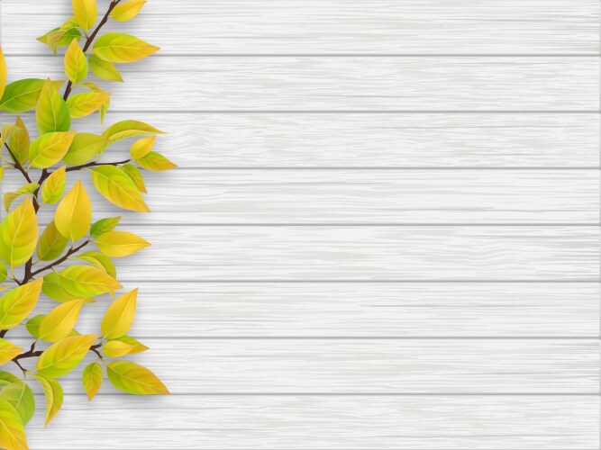 Tree Branch Background Vector Images (over 170,000)