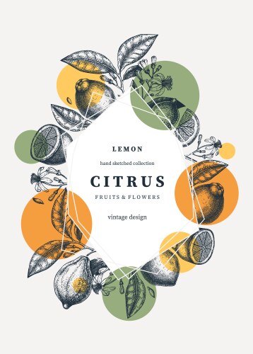 Vintage citrus frame Royalty Free Vector Image