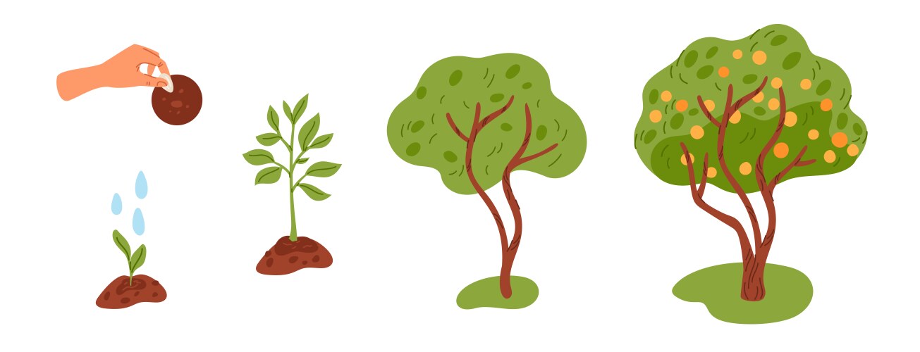 Tree of Life Vector Images (over 100,000)