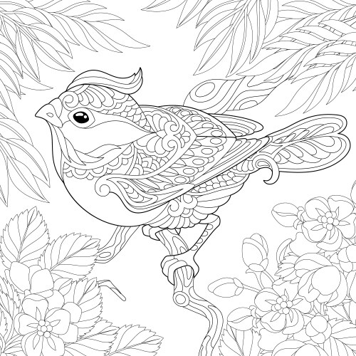 Spring birds coloring page Royalty Free Vector Image