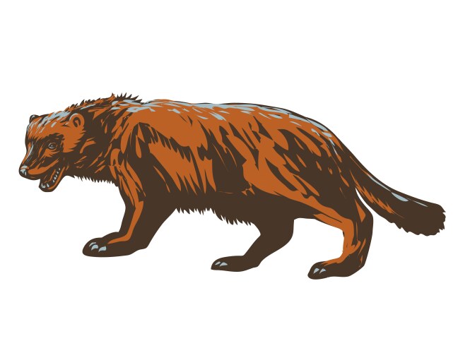 Wolverine animal cartoon Royalty Free Vector Image