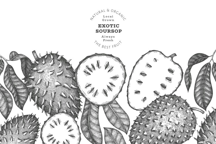 Soursop set Royalty Free Vector Image - VectorStock