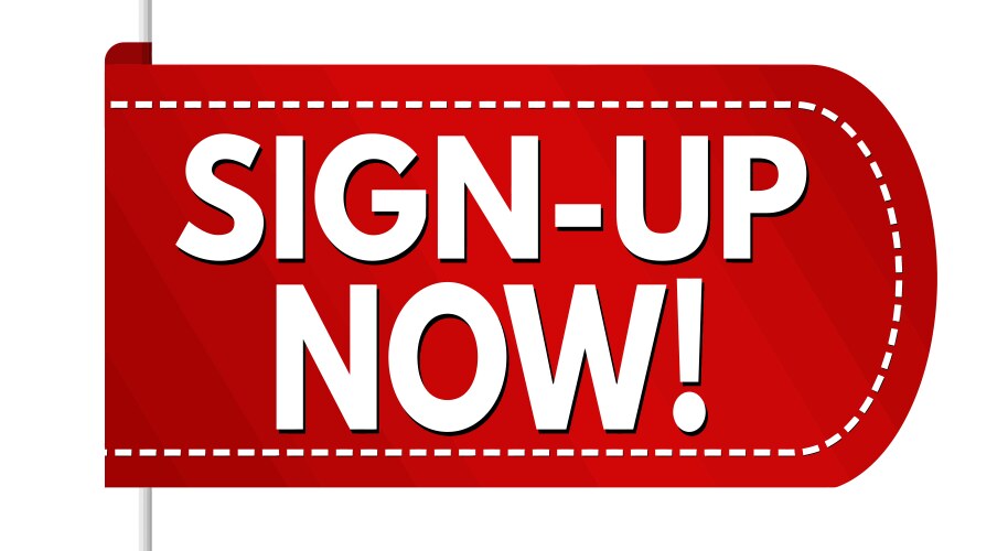 Pre-order now label or sticker Royalty Free Vector Image