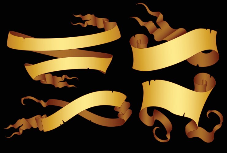 Winding ribbon heraldic symbol for decoration Vector Image